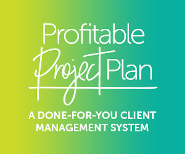 Profitable Project Plan Review | Should you join for 2023?